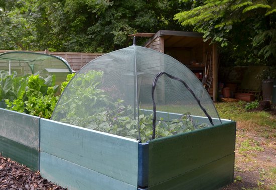 GardenSkill Net Kweektunnel Plantentunnel 100cm | Pop-up Kas in ...
