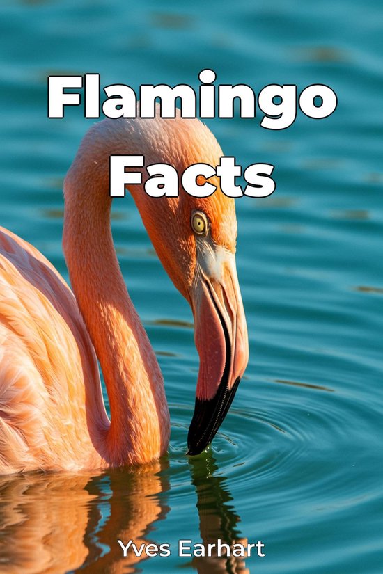 Flamingo Facts (ebook), Yves Earhart | 9788233970093 | Boeken | bol