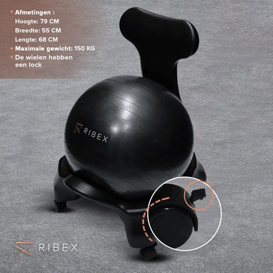 Ribex Zitbal stoel zwart - Yogabal stoel - Yoga bal - Zitbal stoel ...
