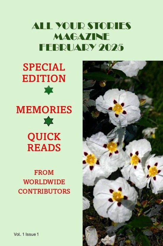 All Your Stories 2 - All Your Stories Magazine February 2025 (ebook ...