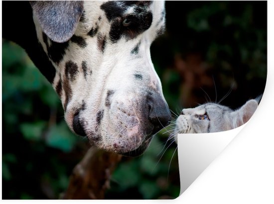 Muurstickers - Sticker Folie - Kat - Hond - Deense Dog - 160x120 cm ...