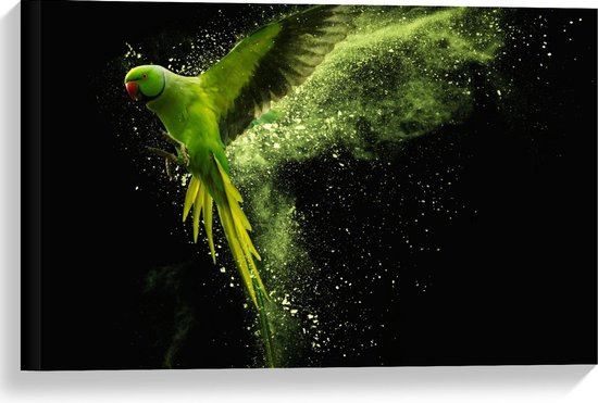 Canvas - Groene Parkiet met Omlijning op Zwarte Achtergrond - 60x40cm ...