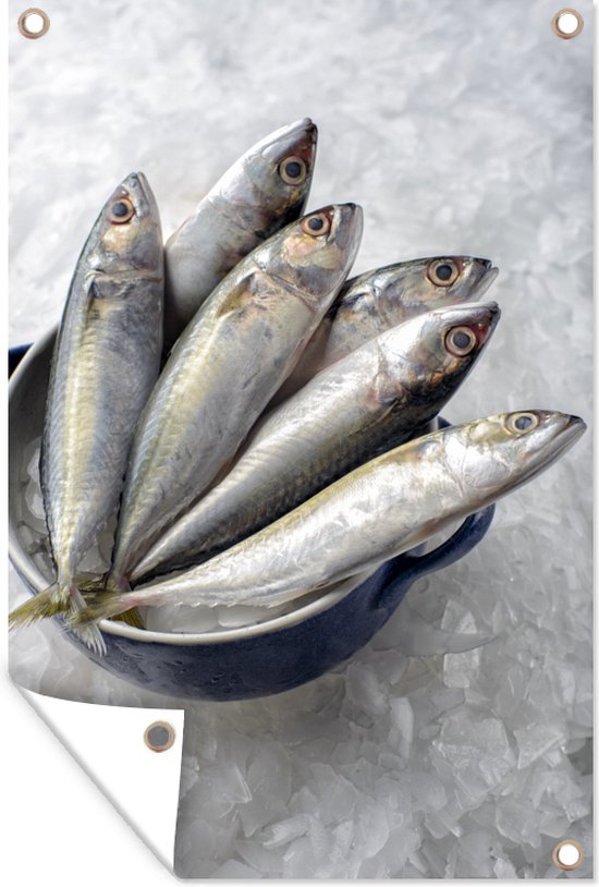 Muurdecoratie Verse makreel in een emmer met ijs - 120x180 cm - Tuinposter - Tuindoek... | bol