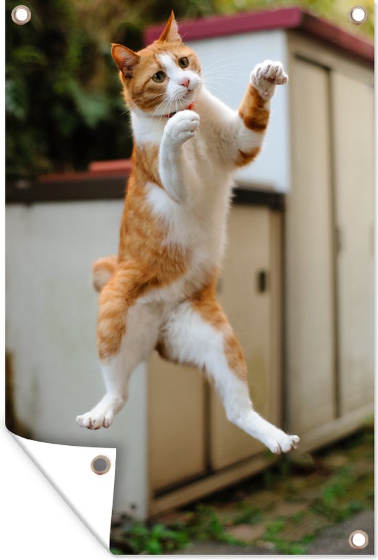 Tuindecoratie Kat - Springen - Tuin - 40x60 cm - Tuinposter | bol.com