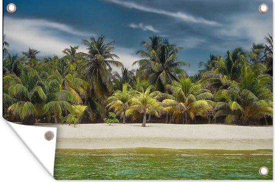 Tuindecoratie Een zandstrand vol met palmbomen op Baai-eilanden in ...
