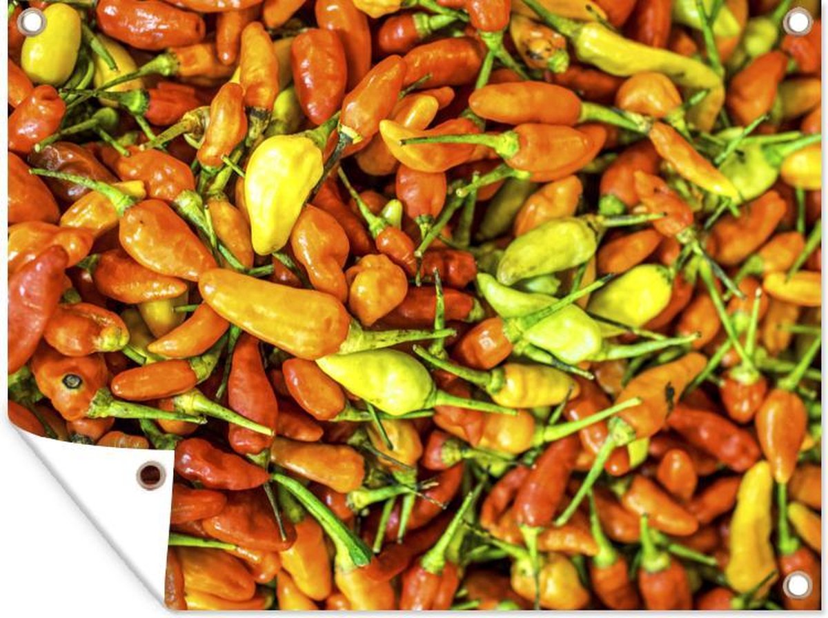 Piments de Cayenne colorés sur un tas de poster de jardin 160x120 cm ...