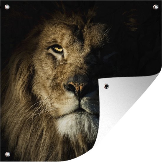 Tuinposters Leeuw - Dier - Zwart - 50x50 cm - Tuindoek - Buitenposter | bol