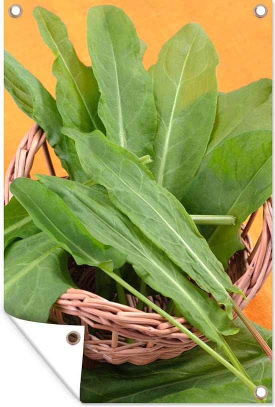 Tuindecoratie Zuring bladeren in een klein rieten mandje - 40x60 cm ...