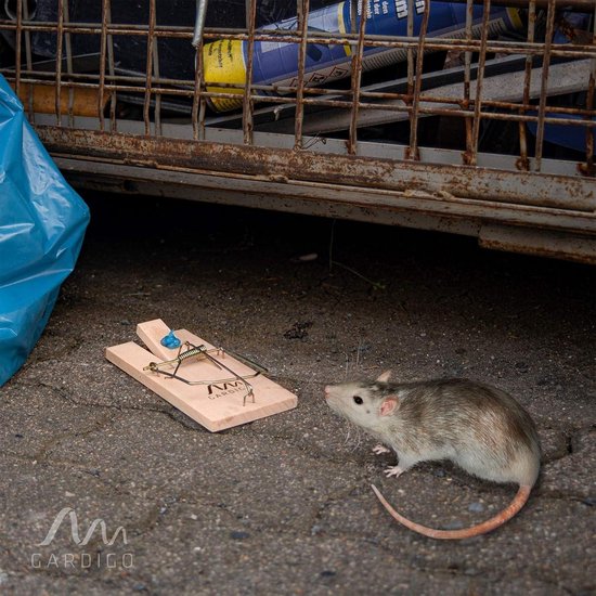 Houten Rattenval Set van 10 - Impact val herbruikbare - 10 stuks ...