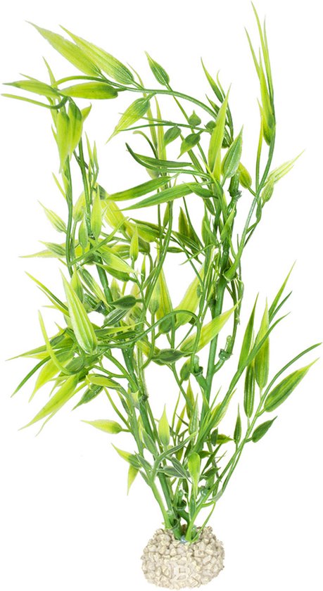 Aqua Della Aquariumplant Bamboo - Groen - 27cm | bol