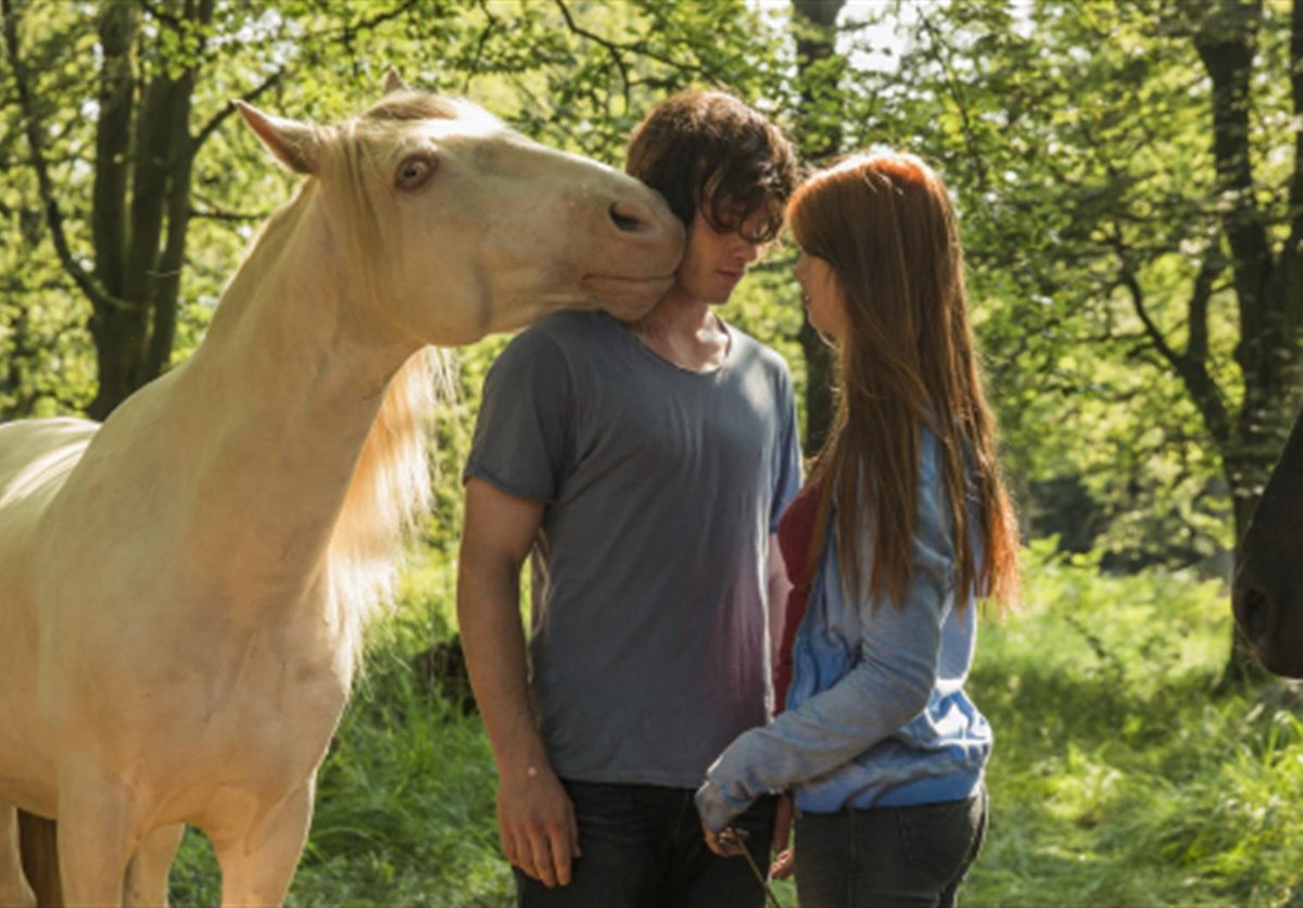 bol.com | Movie - Stormwind 2 (Dvd), Jannis Niewöhner | Dvd's