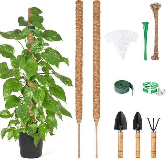 Monstera Mosstok 100cm - Opvouwbare Kokos Totempaal met Accessoires ...