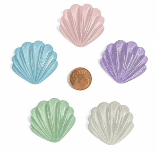 TLVX 5 stuks Sterke Schelpen Magneten 3D / Leuke Koelkast Magneten ...