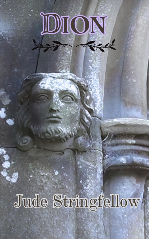 Dion (ebook), Jude Stringfellow | 9798349344299 | Boeken | bol