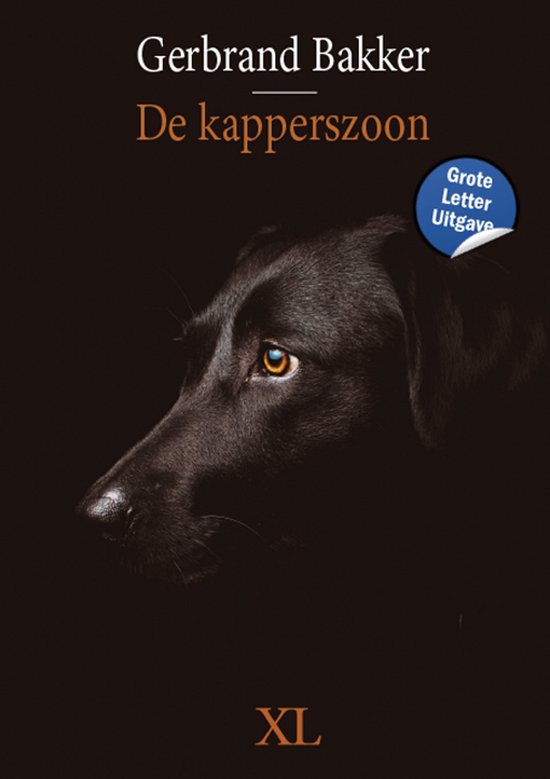 De kapperszoon, Gerbrand Bakker | 9789046314180 | Boeken | bol