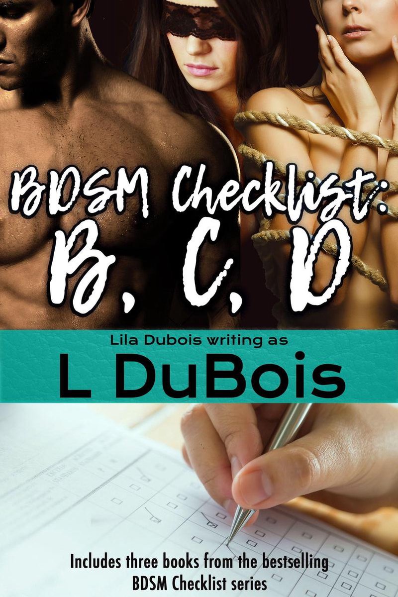 BDSM Checklist - Checklist: B, C, D (ebook), L. Dubois | 9781941641316 | Boeken | bol