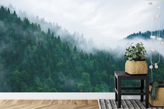 Fotobehang Bos In Mist | bol