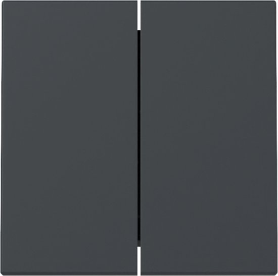 GIRA Systeem 55 Bedieningswip serie/wissel-wissel Antraciet 329528 ...