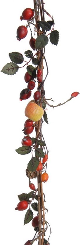 Louis Maes kunstplant blaadjes slinger/guirlande Bessen - bruin - 180 ...