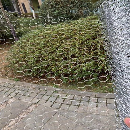Veelzijdig en Weerbestendig Hexagonaal Metaalgaas voor Tuin en ...
