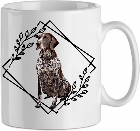Mok Germain shorthaired pointer 5-7 |Hond| Hondenliefhebber||Dog ...