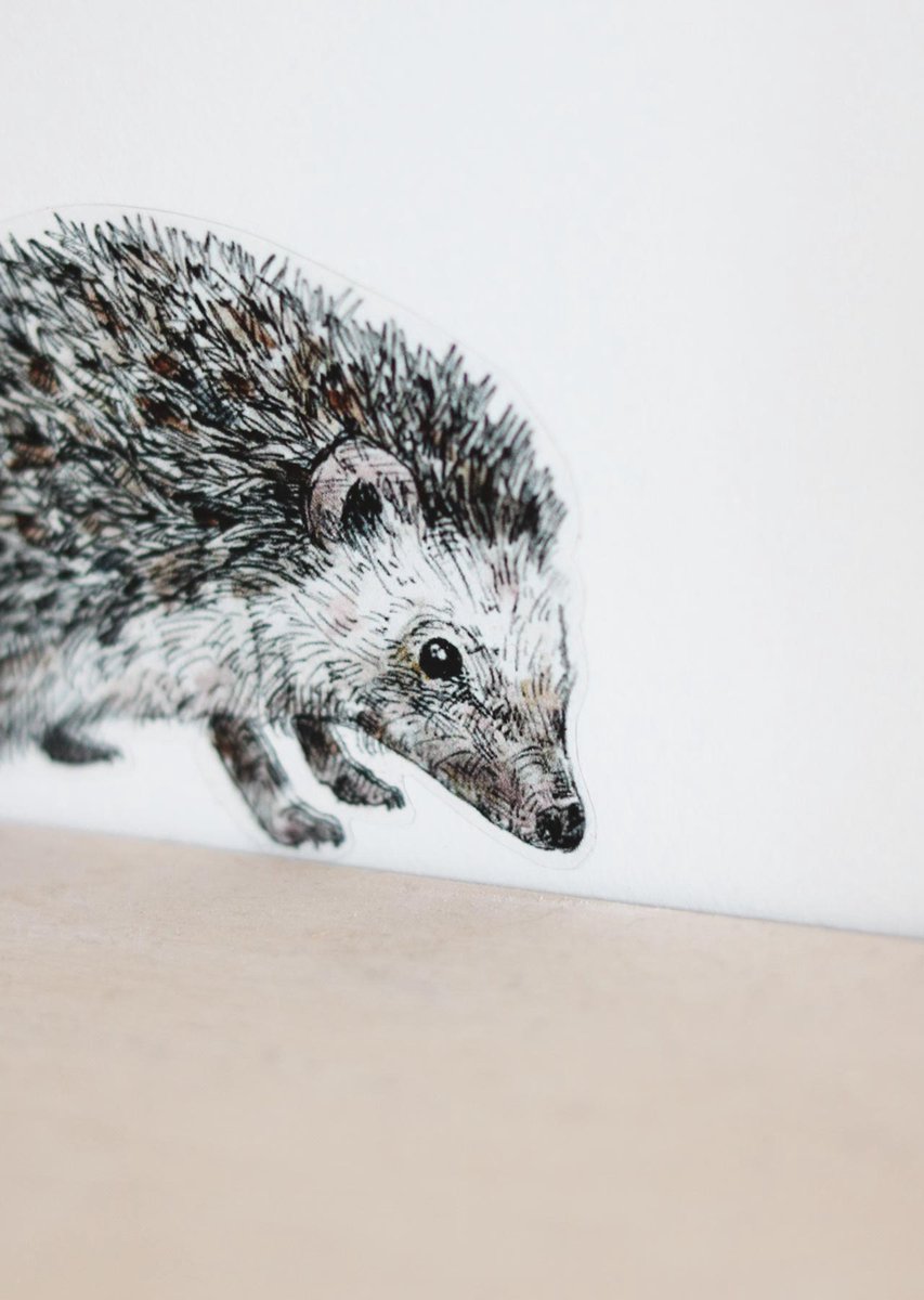 Muursticker | egel | dieren | kinderkamer | bol.com