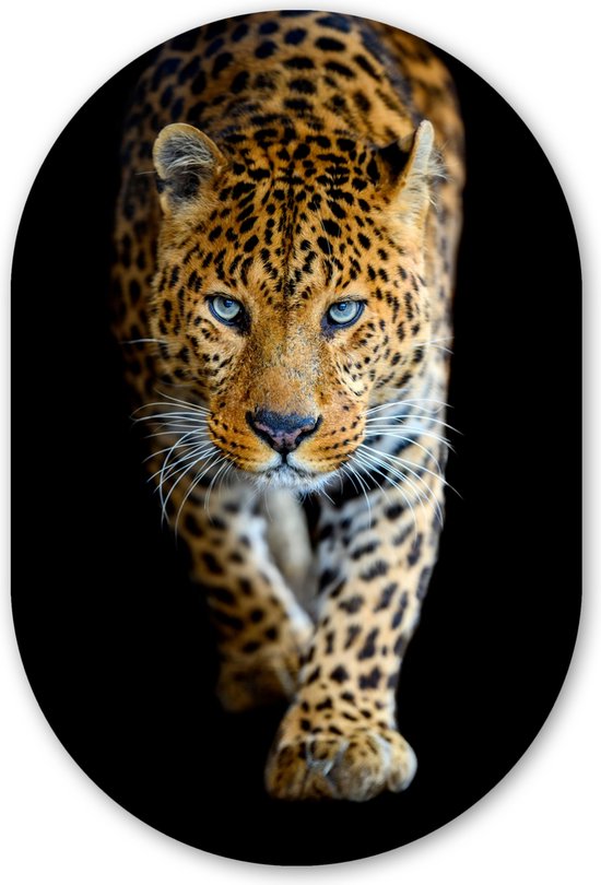 Ovale Mural - Ovale Mural - Décoration murale Plastique - Tableau Ovale ...