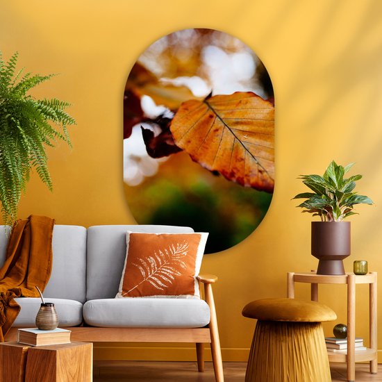 Wall Oval - Décoration murale Plastique - Tableau Ovale - Beuk ...