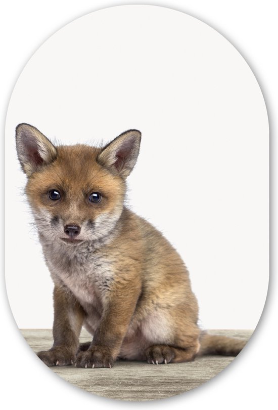 Muurovaal - Wandovaal - Kunststof Wanddecoratie - Ovalen Schilderij ...