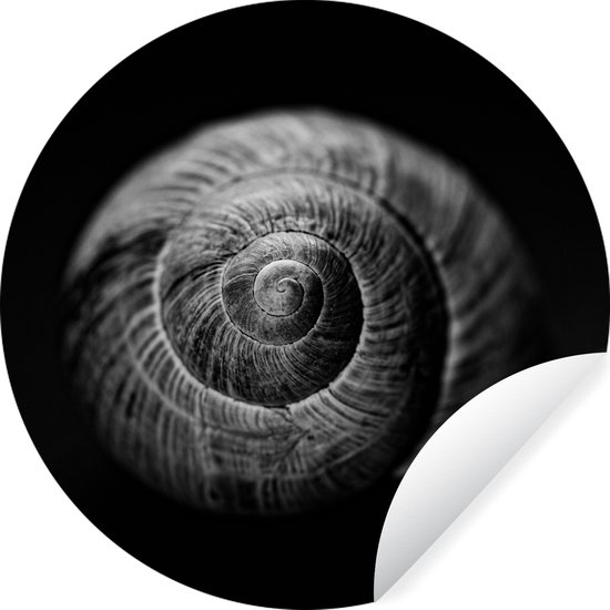 WallCircle - Behangcirkel - Zelfklevend behang - Slak - Zwart - Wit - 80x80 cm -... | bol