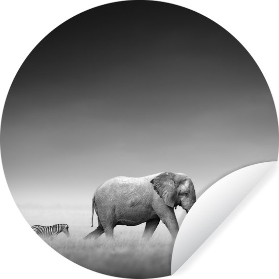 Behangcirkel - Wilde dieren - Olifant - Zebra - Gras - Natuur - Zelfklevend behang -... | bol