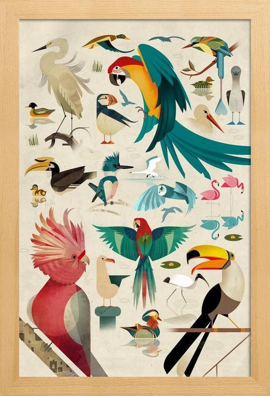JUNIQE - Poster in houten lijst Vintage vogels -60x90 /Kleurrijk | bol.com