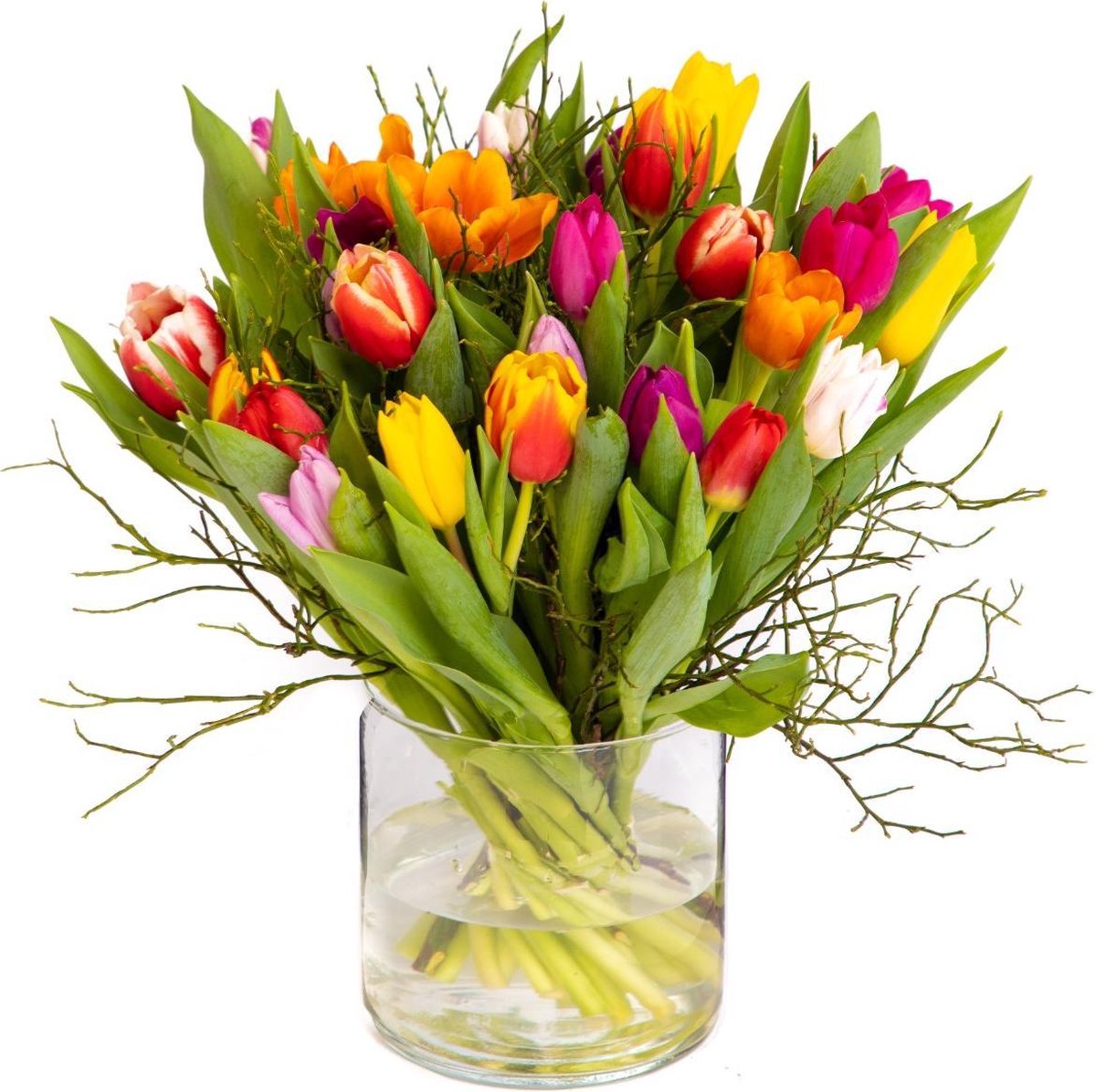 Tulpen Boeket - 24 Tulpen + Groen - Gratis Verzending | bol