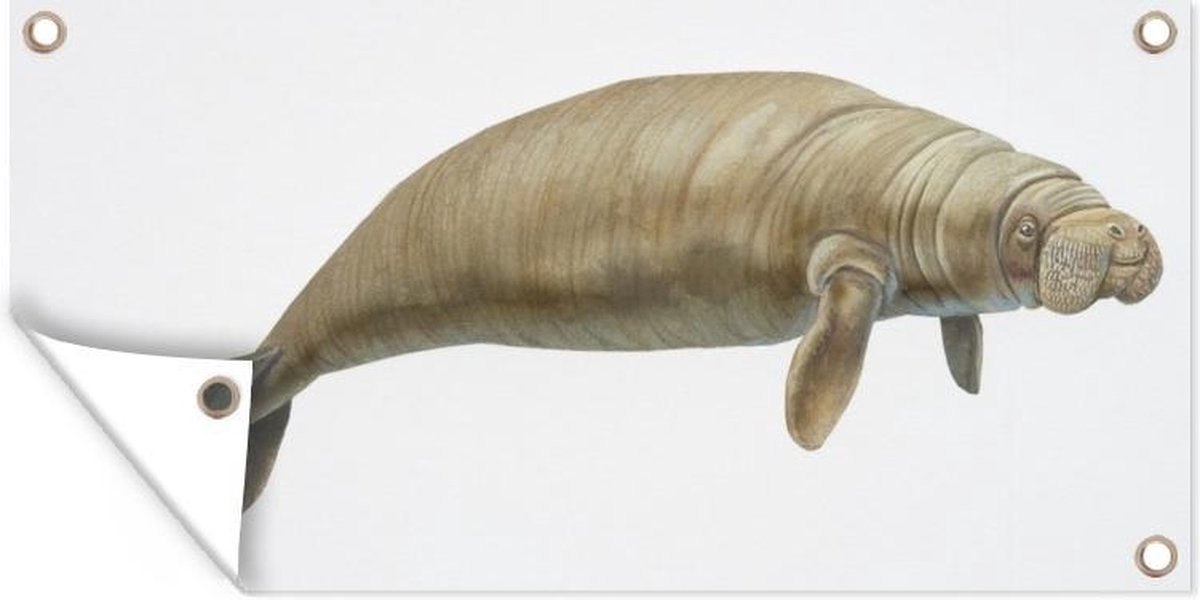 Wanddecoratie buiten tekening van een bruine doejong - 160x80 cm ...