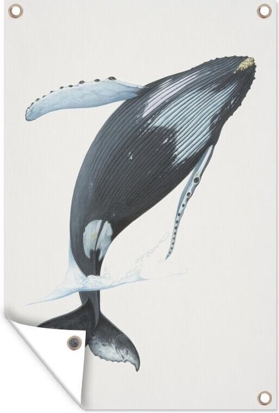 Muurdecoratie tekening van de onderkant van een walvis - 120x180 cm ...