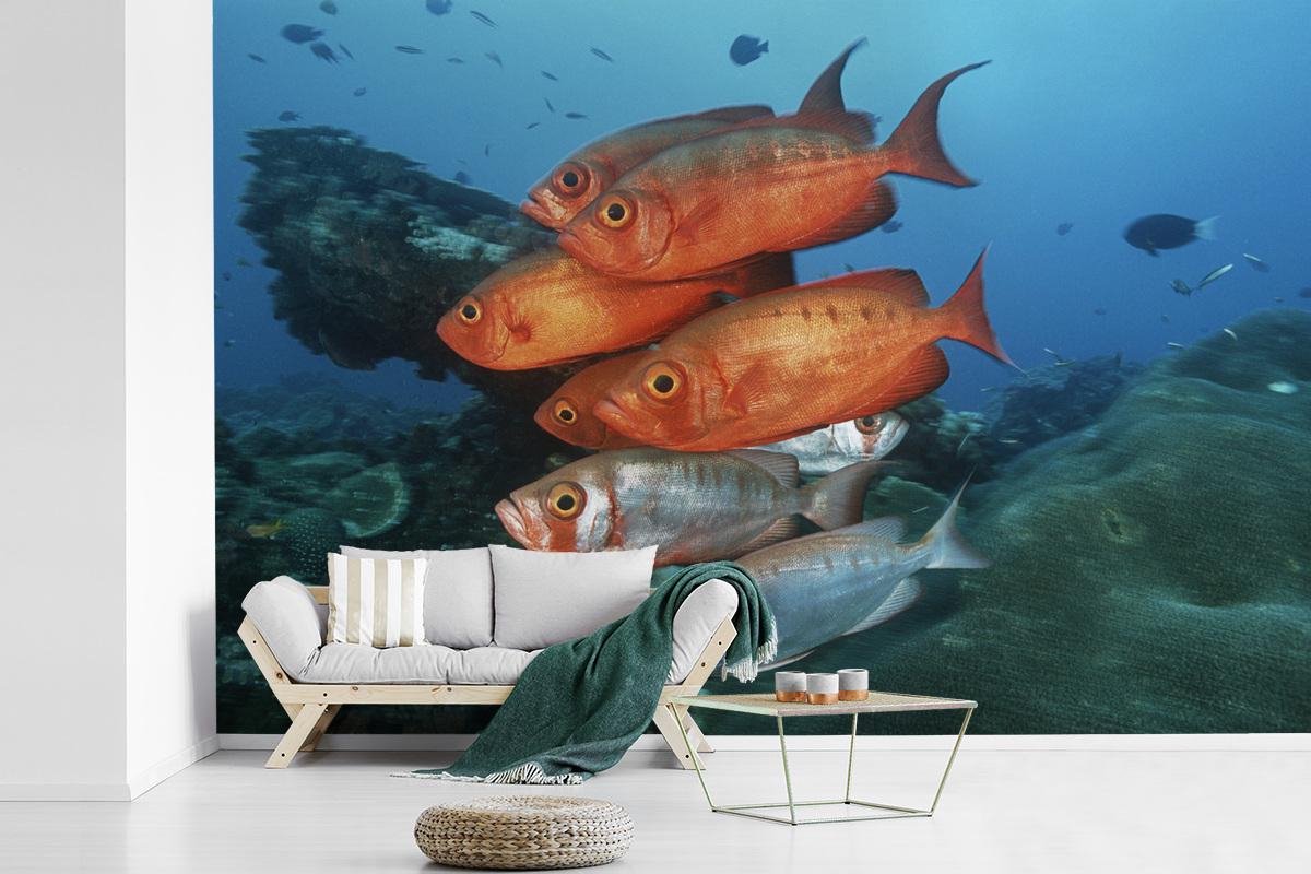 Behang - Fotobehang Vis - Rood - Grijs - Breedte 420 cm x hoogte 280 cm ...