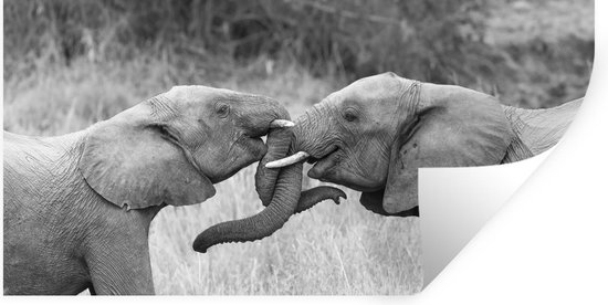 Muurstickers - Sticker Folie - Olifant - Knuffel - Gras - 160x80 cm ...