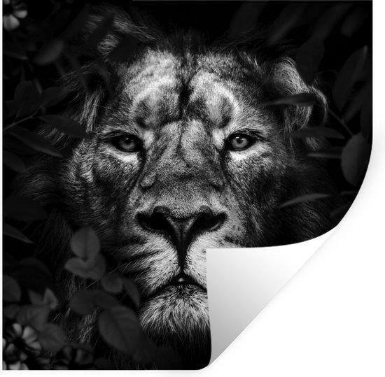 Muurstickers - Sticker Folie - Leeuw - Dieren - Jungle - Zwart - Wit - 120x120 cm -... | bol