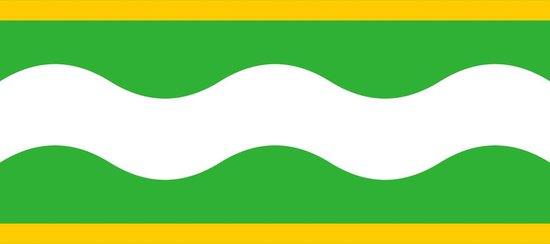 Vlag Soest 30x45cm | bol