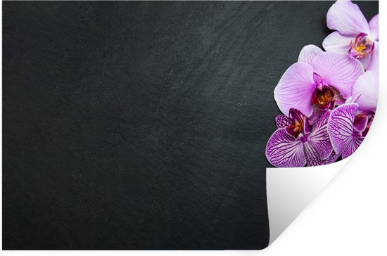 Muurstickers - Sticker Folie - Orchidee - Bloemen - Roze - Flora - 120x80 cm -... | bol.com