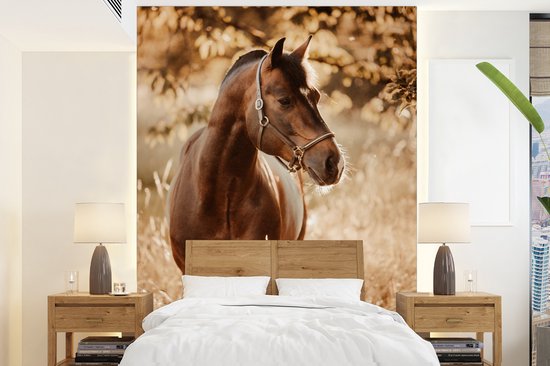 Behang kinderkamer - Fotobehang Paard - Zon - Portret - Natuur - Bruin ...