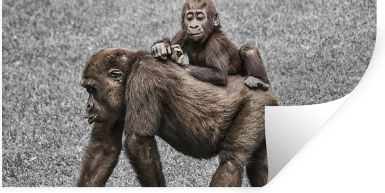 Muurstickers - Sticker Folie - Apen - Landschap - Vacht - 160x80 cm ...