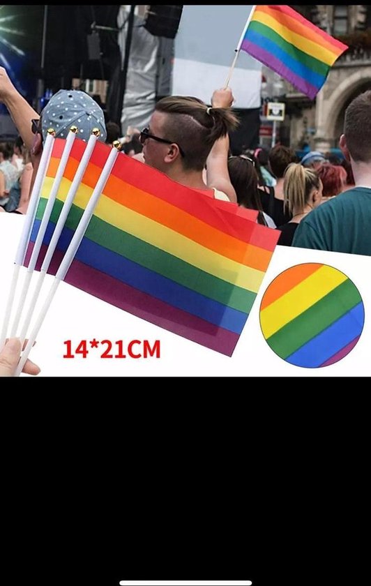 Regenboog vlag - 5 stuks - Gay - lesbian - trans - cadeau - kado - geschenk - gift -... | bol.com
