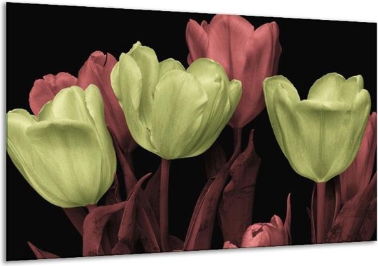Glasschilderij Tulp - Geel, Rood, Zwart - 120x70cm 1Luik - Foto Op Glas ...