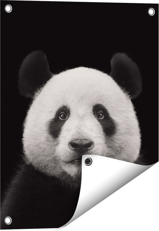 Gards Tuinposter Panda - Pandakop - 40x50 cm - Tuindoek - Tuindecoratie ...