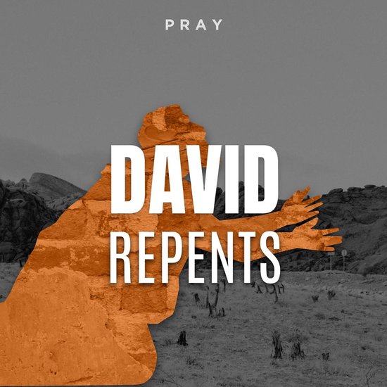 David Repents, Pray.Com | 9781649583963 | Boeken | bol.com