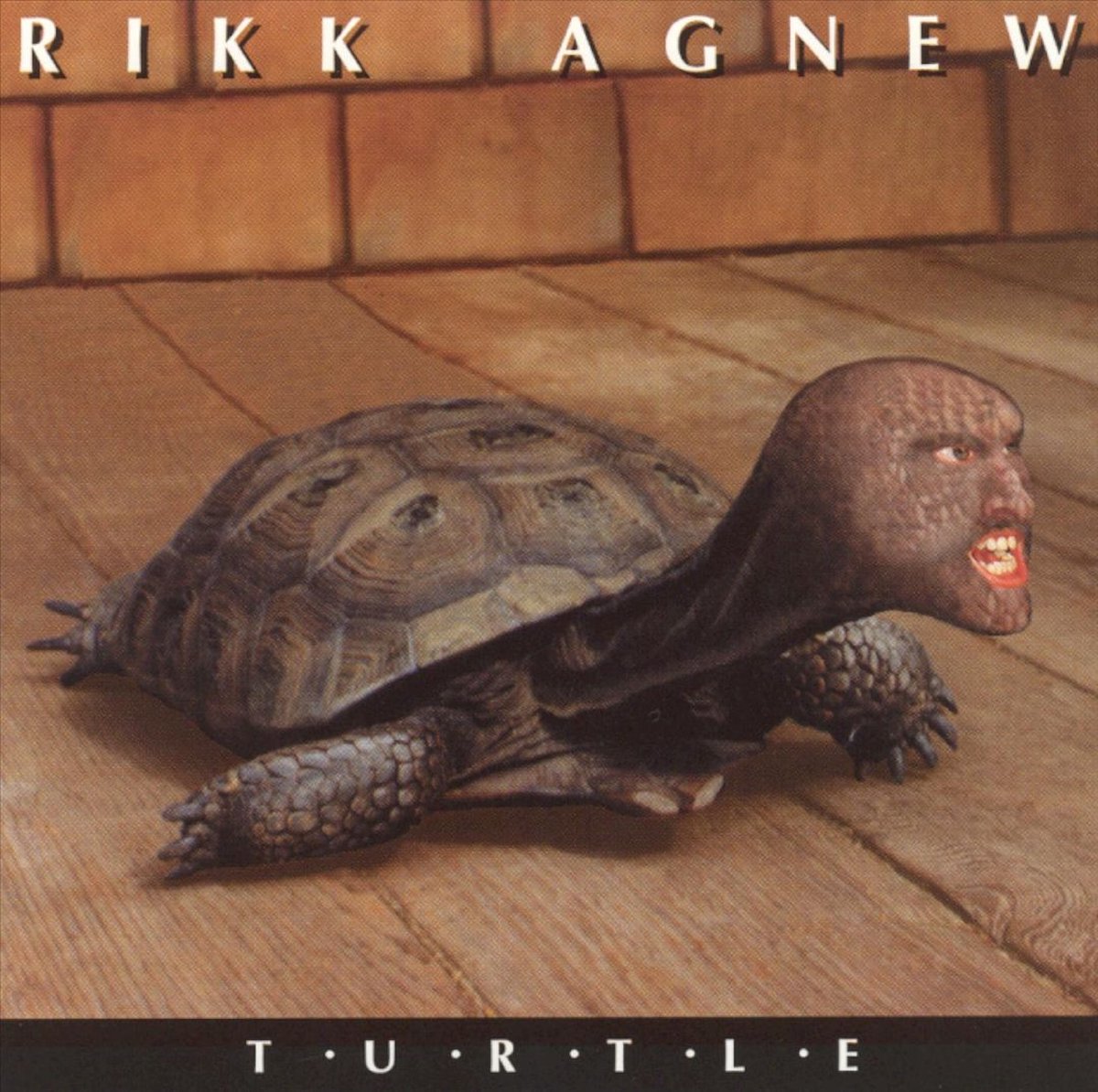 Rikk Agnew - Turtle (CD), Rikk Agnew | CD (album) | Muziek | bol.com