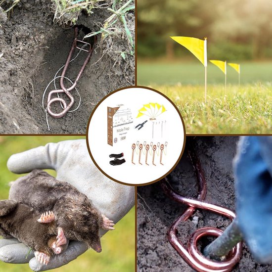 Mollenval - 5 stuks | Natuurlijke mollenval zonder ultrasoon geluid ...