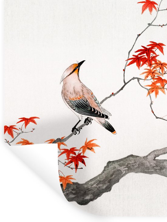 Muurstickers - Sticker Folie - Japanse esdoorn - Vogel - Boom - Vintage ...