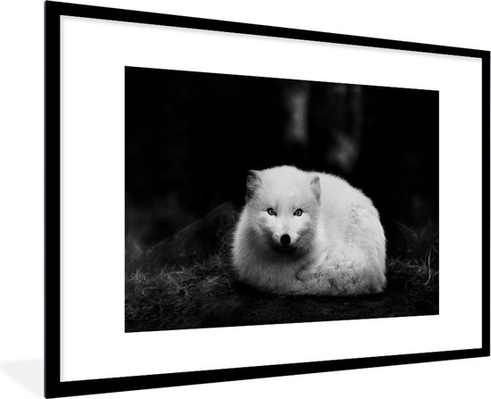 een poolvos - zwart wit | bol.com